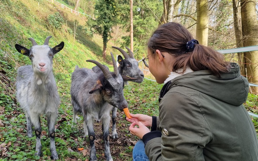 Ordensjahr-Teilnehmerinnen beschäftigten sich mit dem Beten